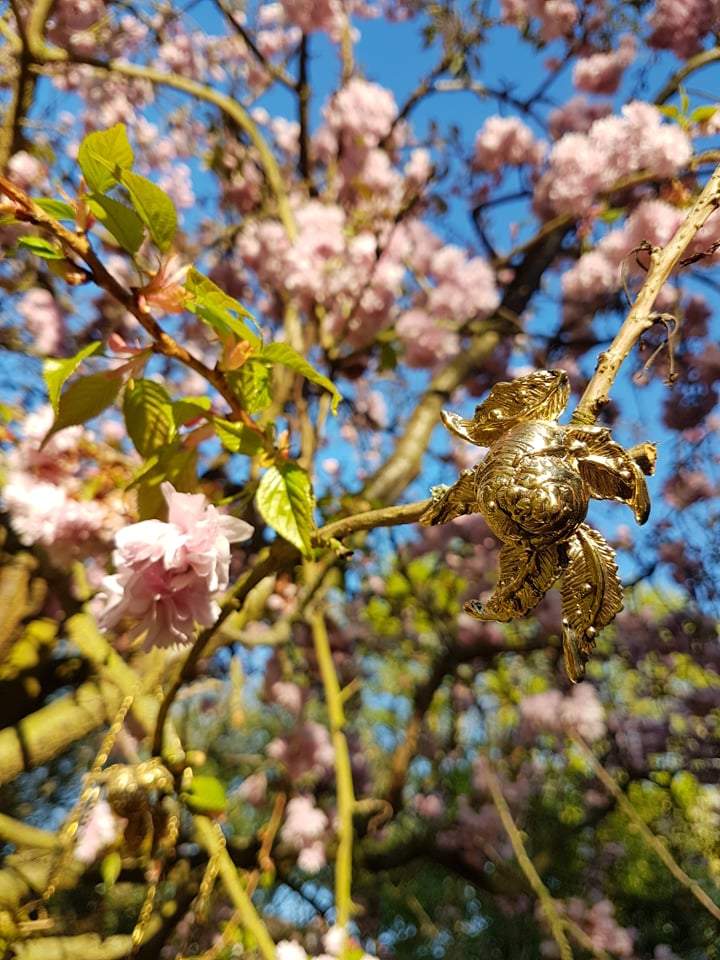 Rings – Pearly Hawker